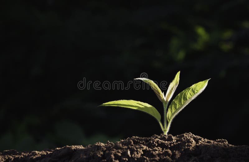 921 Ground Incomplete Stock Photos - Free & Royalty-Free Stock Photos ...