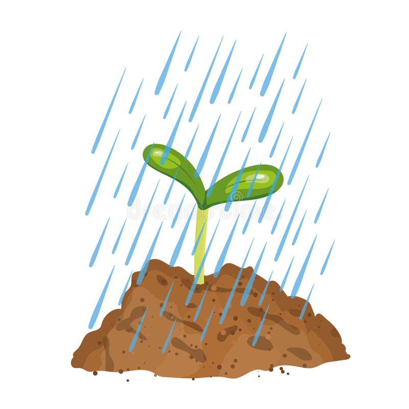 Young Plant Under Falling Water Drops Stock Illustration - Illustration ...