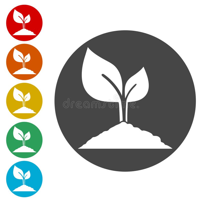 Plant Based Label. Flat Simple Vector Icon. Healthy Food Poster. Fresh ...