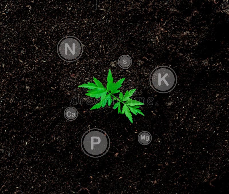 Soil Biology Icons Stock Photos - Free & Royalty-Free Stock Photos from ...