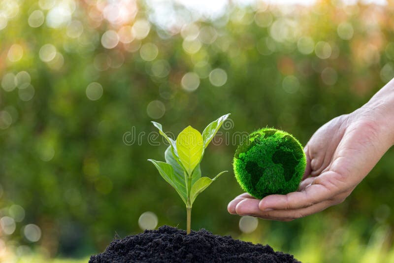 Grow Plants with Black Soil in Used Plastic Containers. for Planting ...