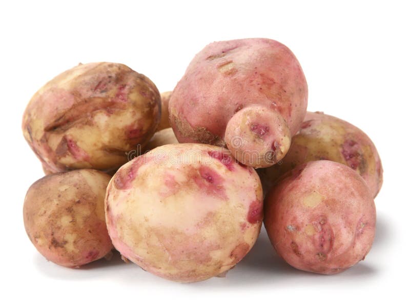 Young potato stock photo. Image of ingredient, food, potato - 9808096