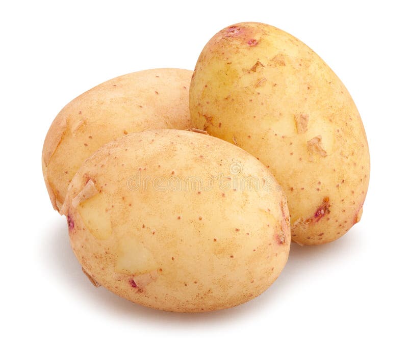 Young potato path isolated stock image. Image of potato - 236957571