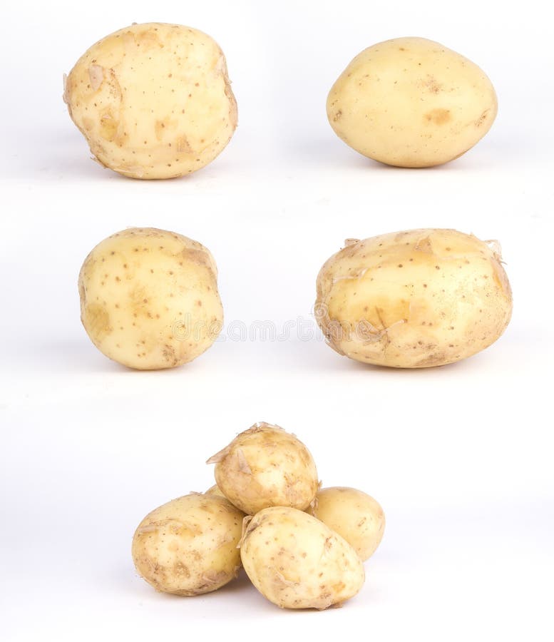 Young potato stock image. Image of foods, starch, healthy - 31445513