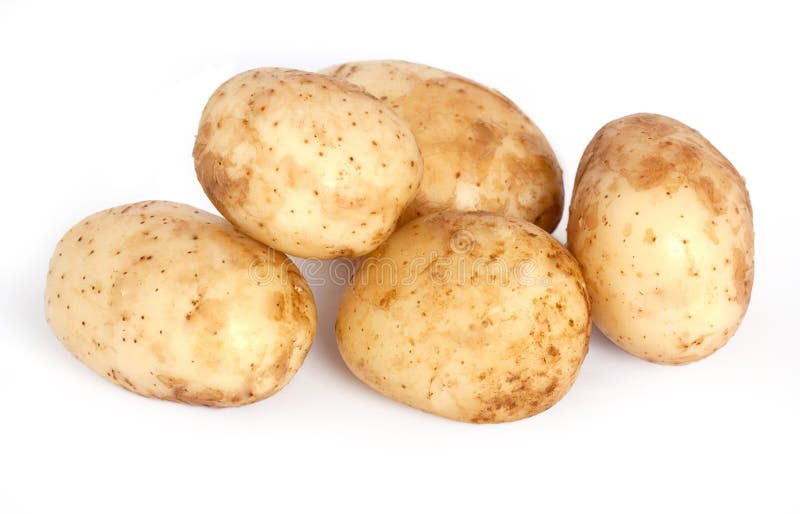 Young potatoes stock image. Image of agriculture, tuber - 14714363