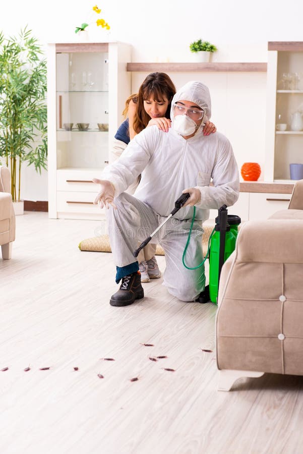 The Young Professional Contractor Doing Pest Control at Flat Stock ...