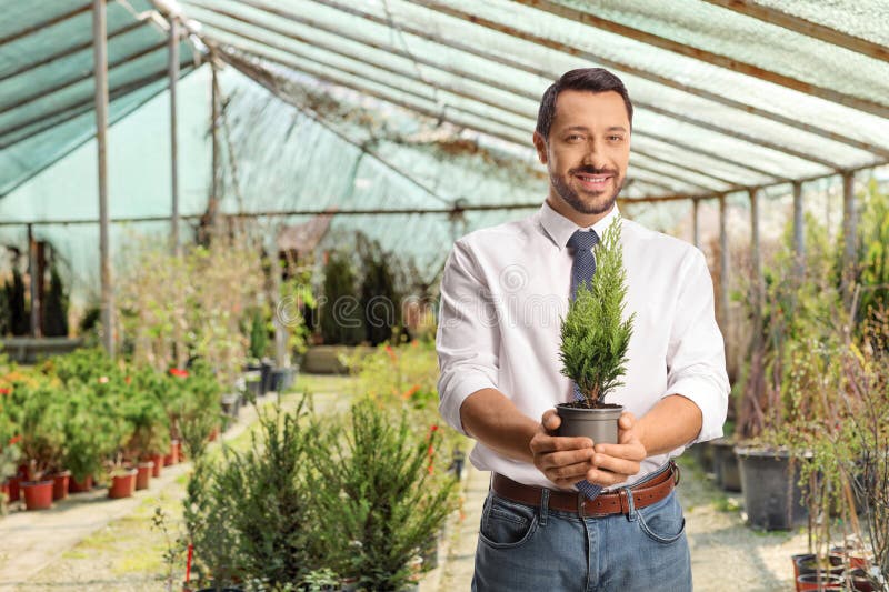 Young Professional Man Holding a Small Evergreen Tree in a Pot in a ...