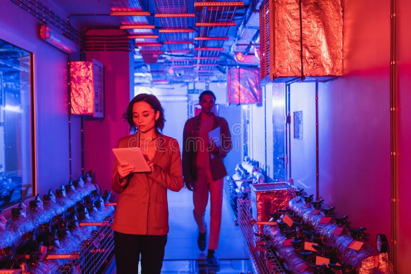 Young Programmer Using Digital Tablet Near Stock Image - Image of ...