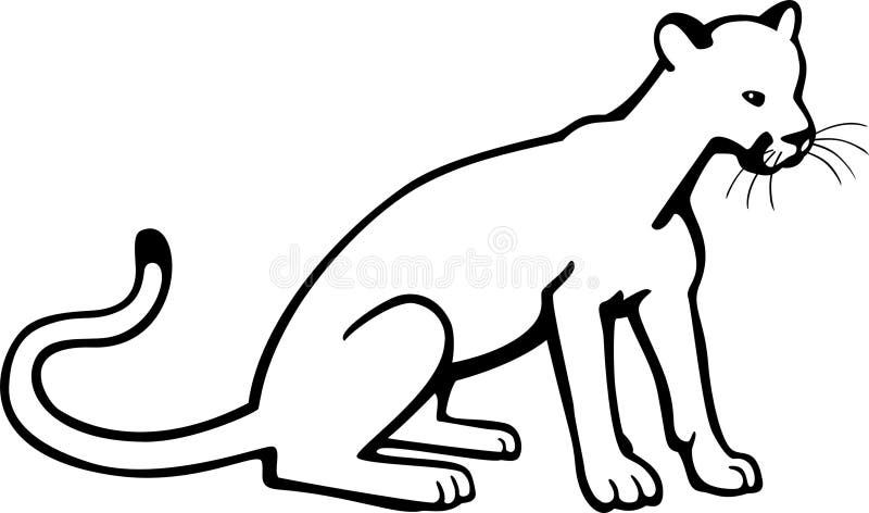 Young Puma stock vector. Illustration of sitting, predator - 66439434