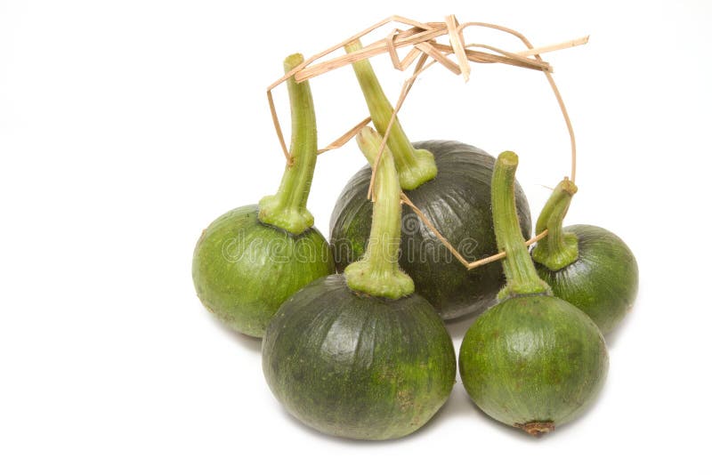 Young pumpkin,isolate stock photo. Image of natural, food - 30231142