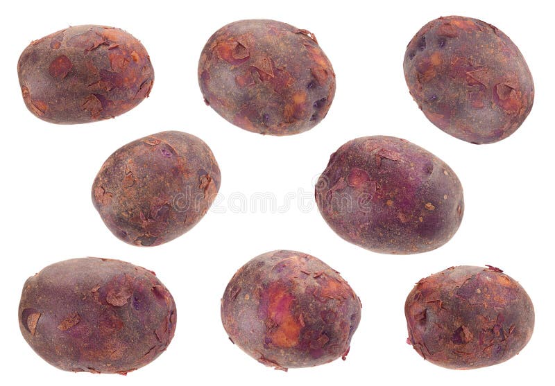 Young potato stock photo. Image of ingredient, food, potato - 9808096