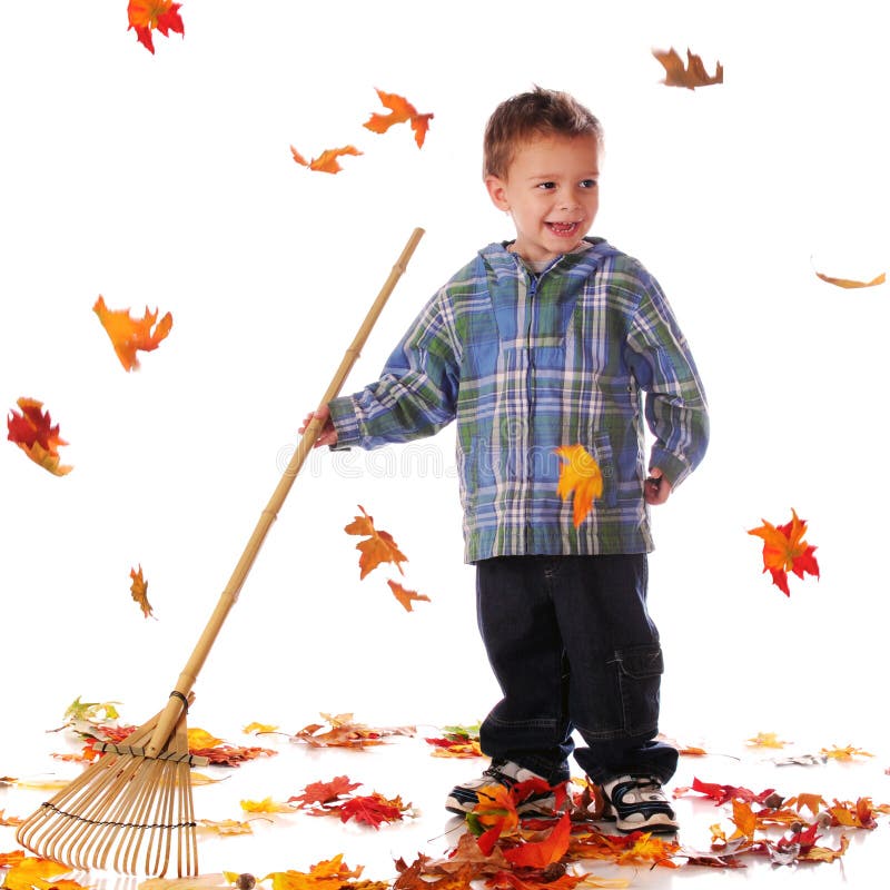 Young Raker stock photo. Image of wood, falling, plaid - 16696396