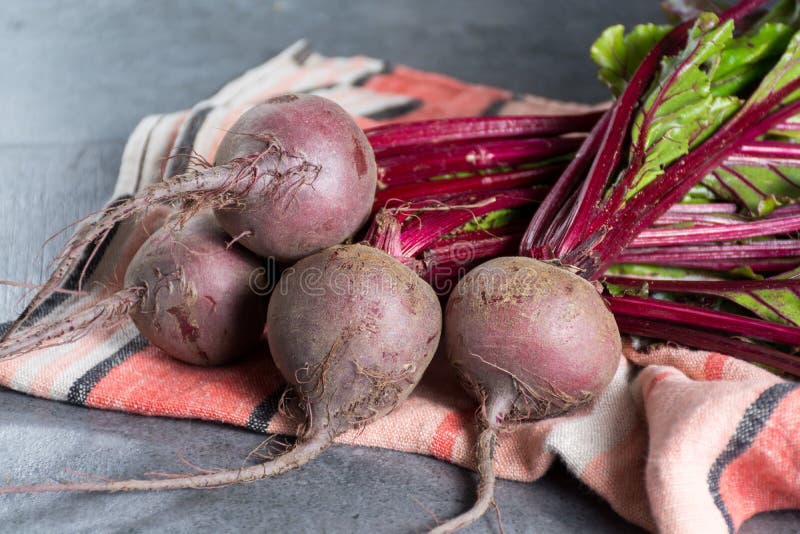 Young Raw Red Beets Roots with Leaves Stock Image - Image of vegan ...