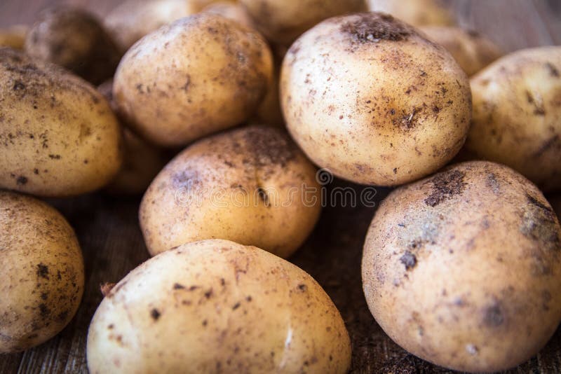 Young Raw Uncooked Potato on Table Stock Photo - Image of diet, nature ...