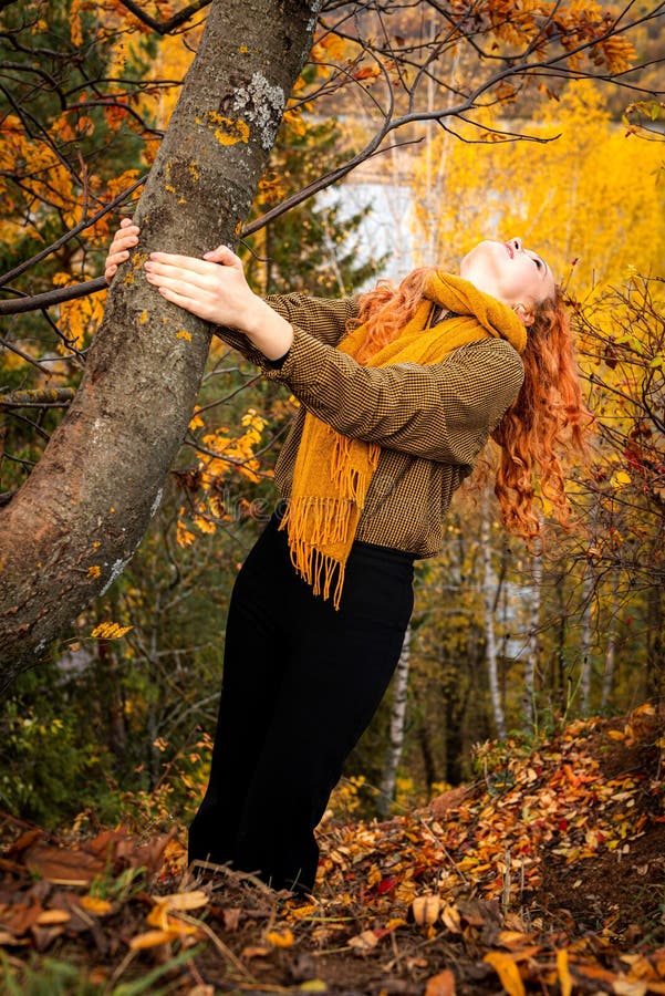 Hugging tree stock image. Image of brown, hugging, full - 258719015