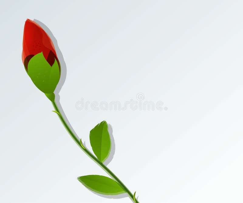 Young red rose text card stock vector. Illustration of symbol - 55007674