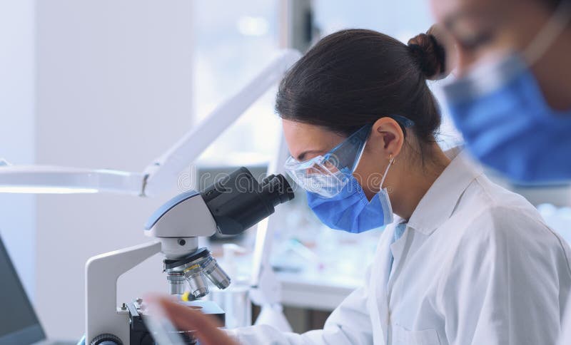 Researcher Working in the Laboratory Stock Image - Image of examining ...