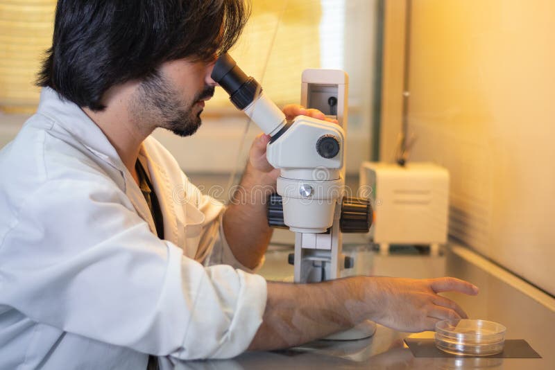 Research Stereo Microscope with Monitor Stock Photo - Image of ...