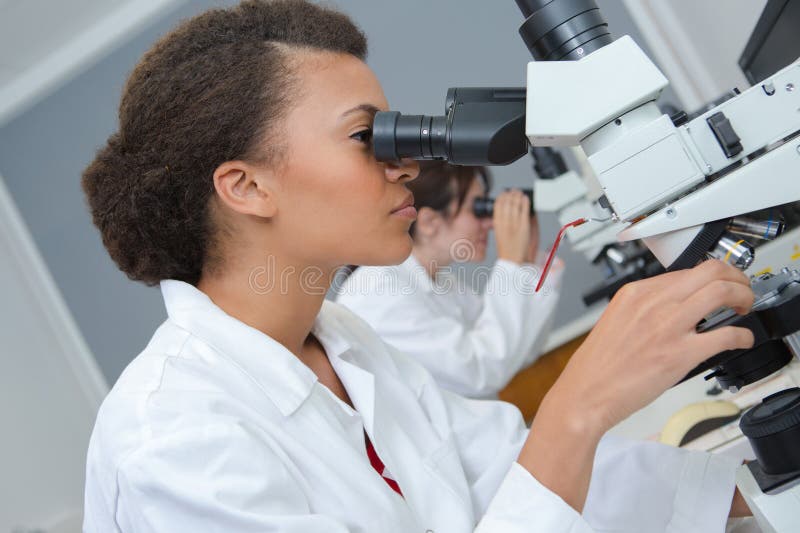 Young Researcher Working with Microscope in Lab Stock Photo - Image of ...