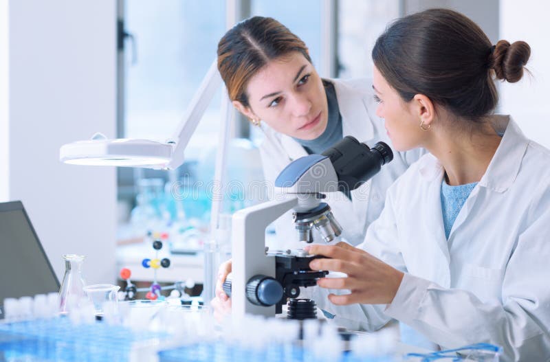 Young Researchers Working Together in the Lab Stock Photo - Image of ...