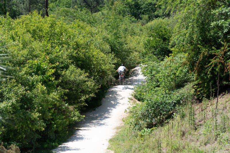 Young Rider Biker Man Mountain Biking through a Forest in Back View ...