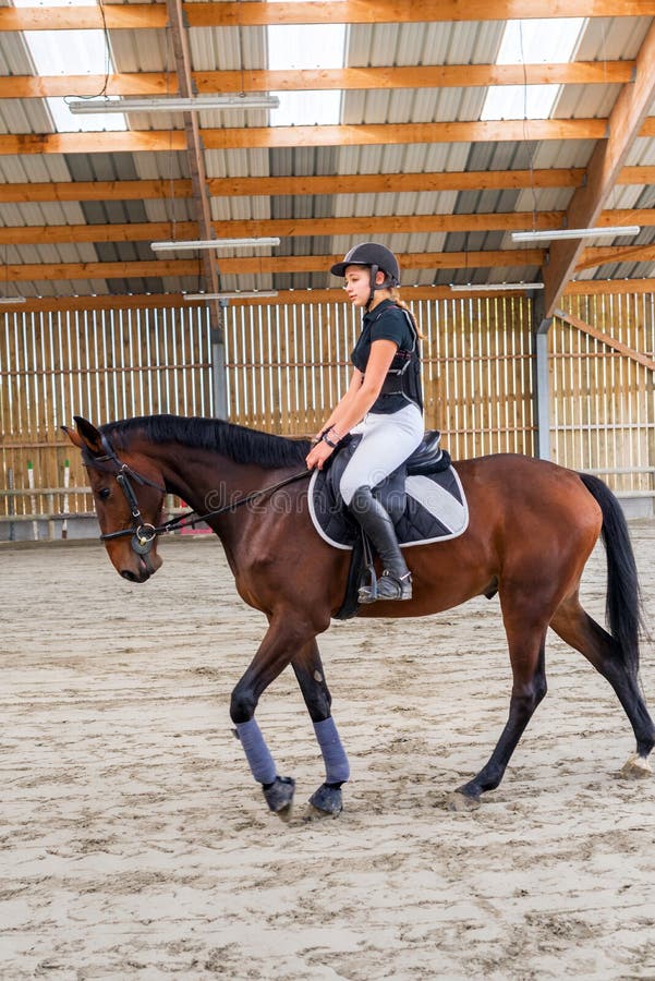 Face of a Young Rider Walking in Step with Their Mare Stock Photo ...