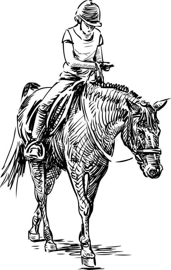 Girl Riding Horse Stock Illustrations – 4,418 Girl Riding Horse Stock ...