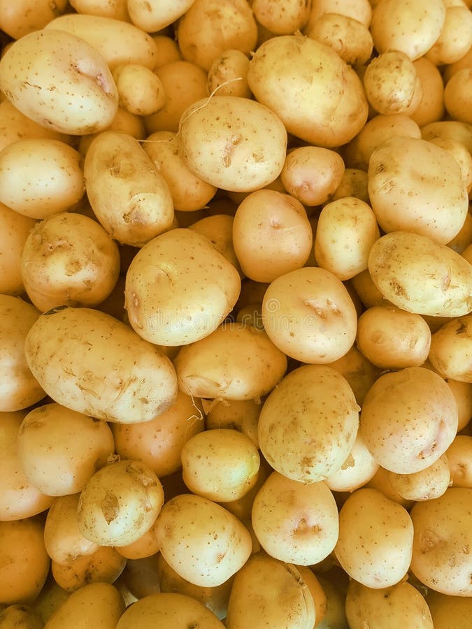 Young Round Potatoes Close-up Stock Image - Image of potato, healthy ...