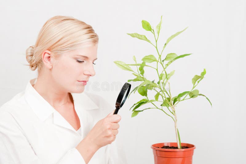 Young Scientist Botanic with Green Tree Stock Photo - Image of botanic ...