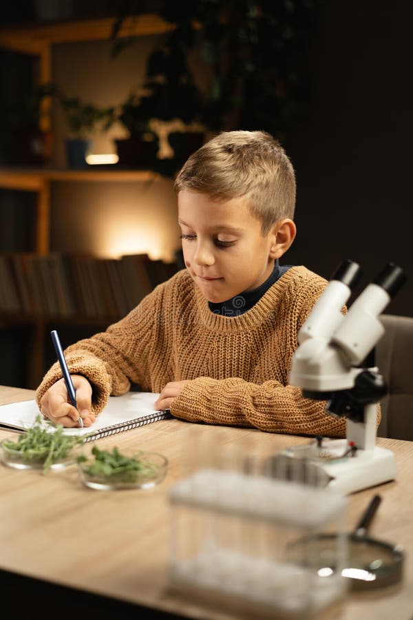 Young Scientist Doing Some Experiments with Microscope at Home ...