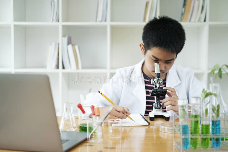Kid Stem Projects Stock Photos - Free & Royalty-Free Stock Photos from ...