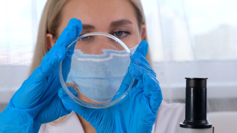 Young Scientist Laboratory Assistant Looks through a Microscope in the ...