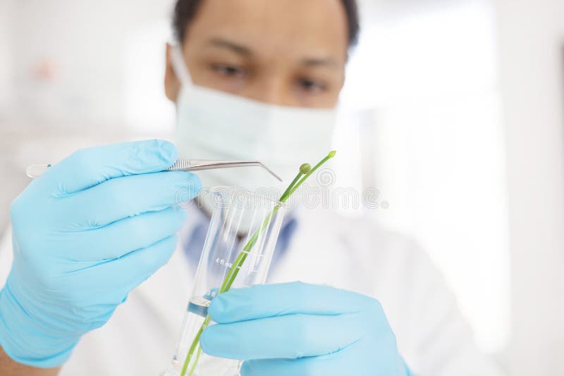 Young Scientist in Life Science Laboratory Stock Image - Image of ...