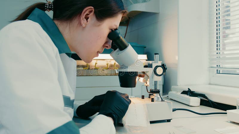 Young Scientist Looking through Microscope and Investigating Bio ...