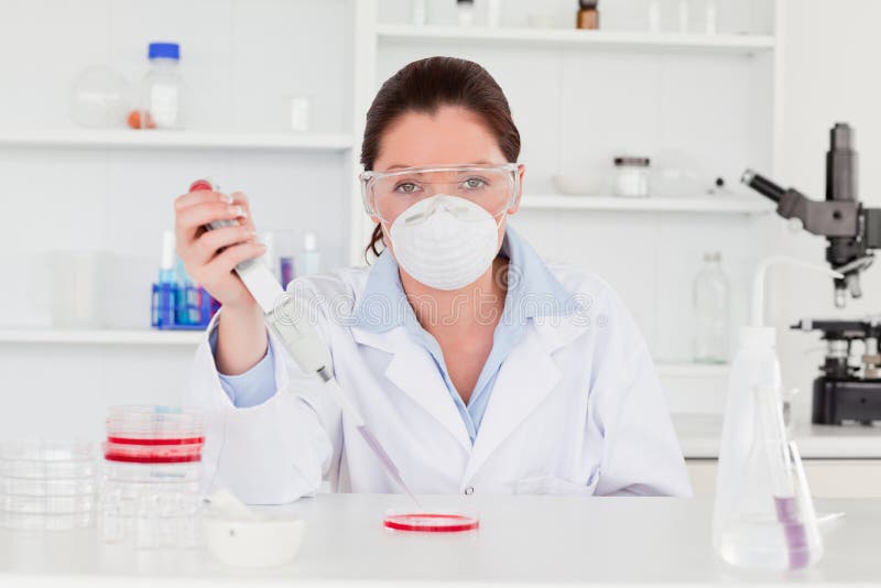 Young Scientist Preparing a Sample Stock Photo - Image of experimant ...