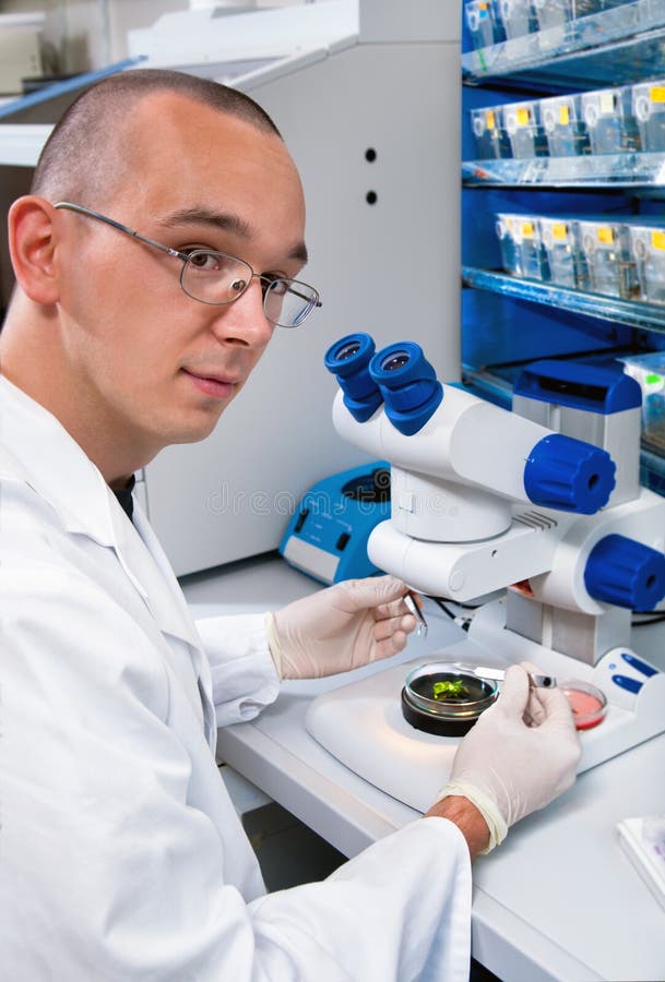 Young Scientist Works in Modern Genetic Lab Stock Image - Image of ...