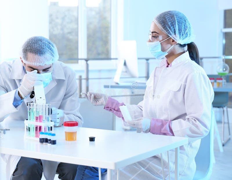 Working in the laboratory stock photo. Image of color - 2472464