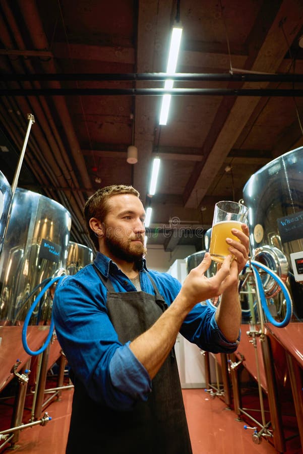 Young Serious Male Brewer with Glass of Beer Evaluating Its Visual ...