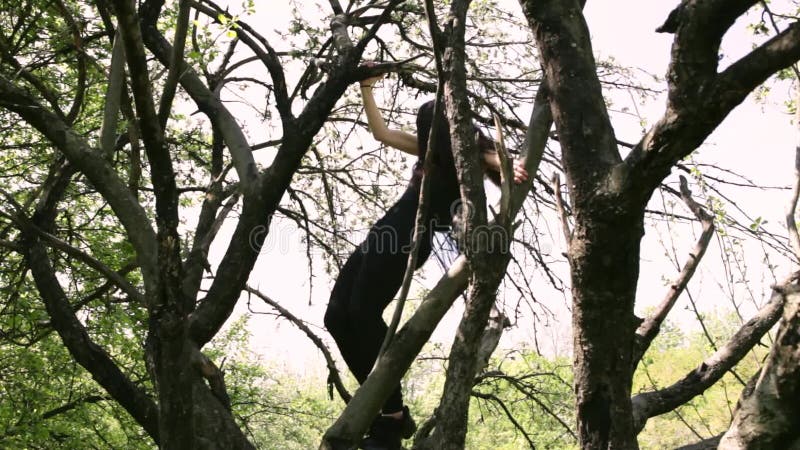 Young Dancer Woman Dancing on the Tree. Stock Footage - Video of park ...