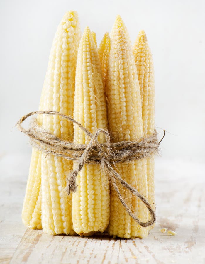 Young small corn stock image. Image of ingredient, plant - 26585097