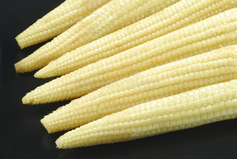 Corn Closeup stock photo. Image of vegetable, husk, single - 9958328