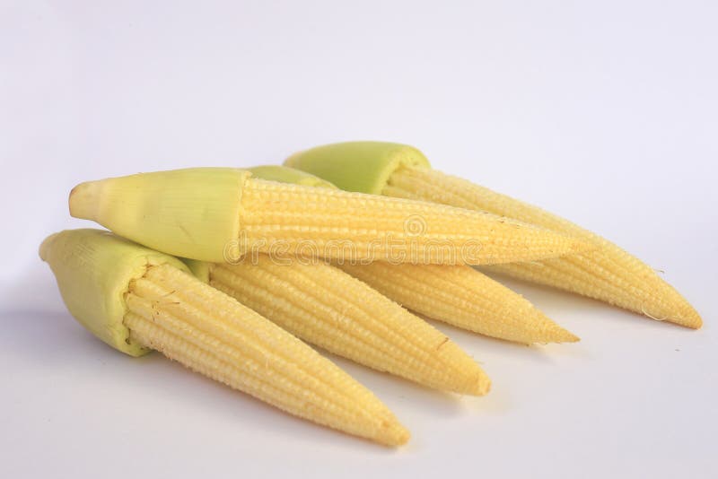Young Small Corn on White Background Stock Image - Image of closeup ...