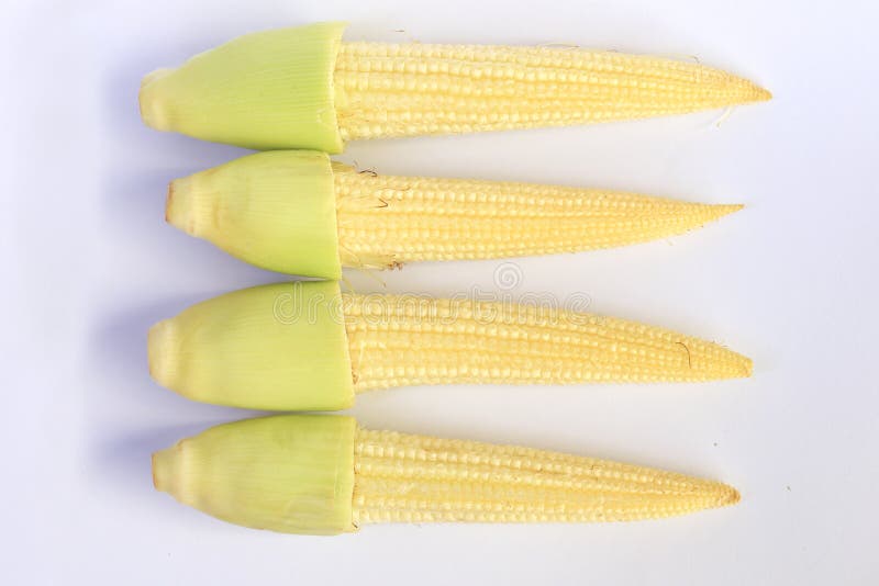 Young Small Corn on White Background Stock Photo - Image of vegetable ...