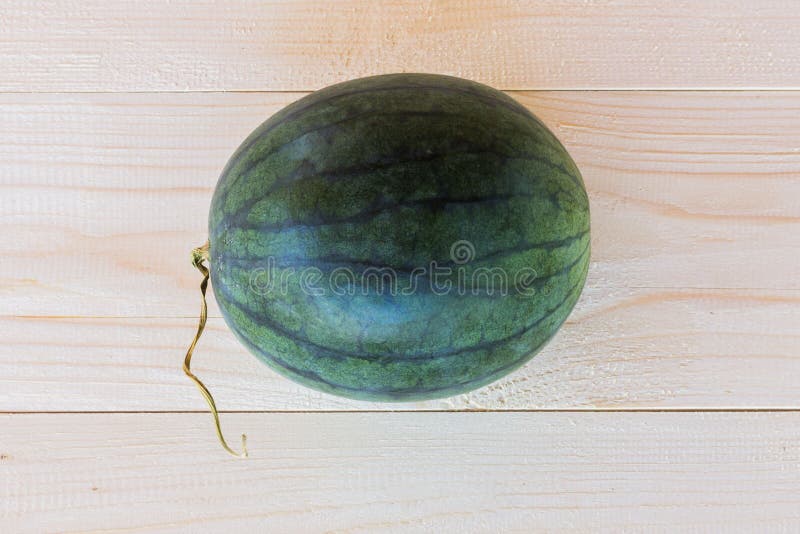 Young small watermelon stock photo. Image of bottle, watermelon - 65127892