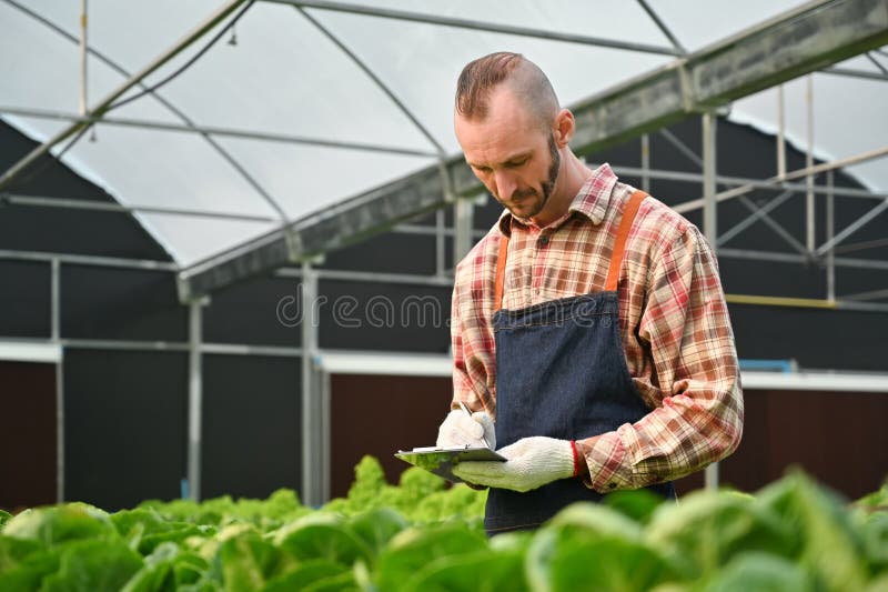 Young Smart Farmer Using Digital Tablet at Hydroponic Greenhouse ...