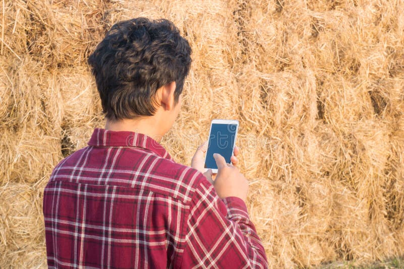Thai Farmer Using Smartphone in a Farm Stock Image - Image of mobile ... Thai Farmer Using Smartphone in a Farm Stock Image - Image of mobile ...