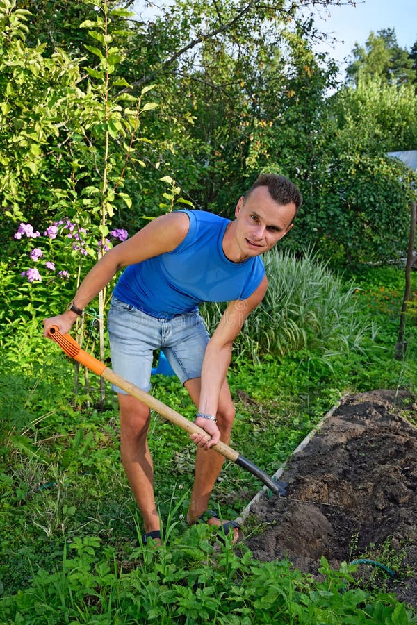 Young Smiling Man Digging a Garden Bed for Planting Apple Trees Stock ...