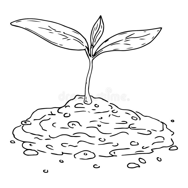 Young Sprout Planted in the Ground Icon. Vector Illustration of ...