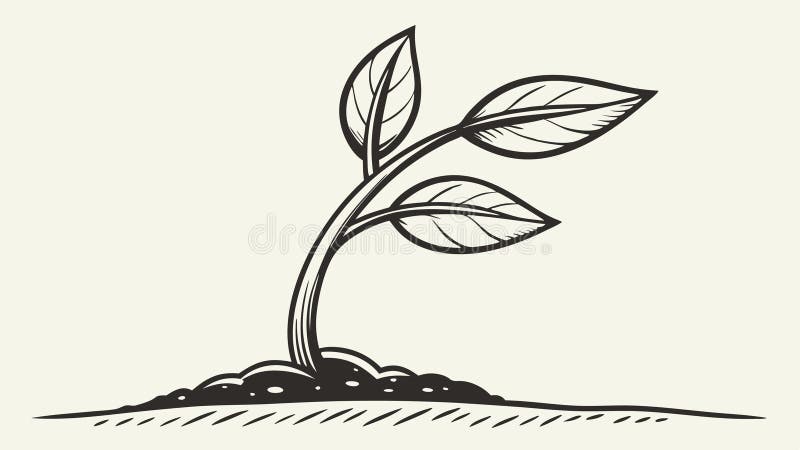 Young Sprouting Plant Vector for New Beginnings and Growth, Vector ...