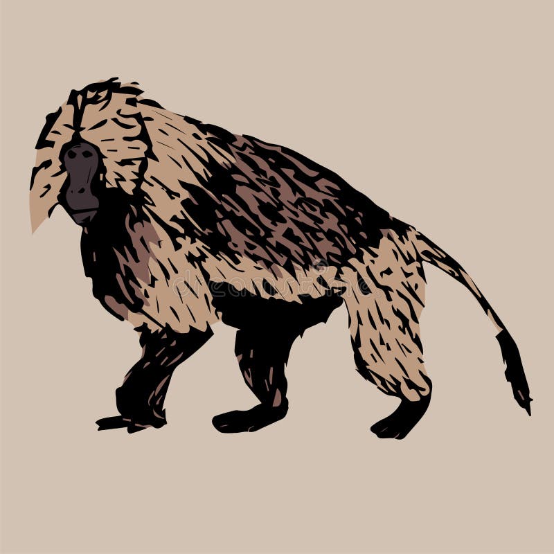 Gelada Vector Art Stock Illustrations – 16 Gelada Vector Art Stock ...